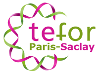 Tefor Paris-Saclay - Tefor Paris Saclay
